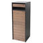 Hamilton Parcel Pillar Letterbox - Charcoal